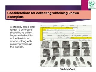 Evidence collection, packaging, Evidence collection, packaging | PPTX
