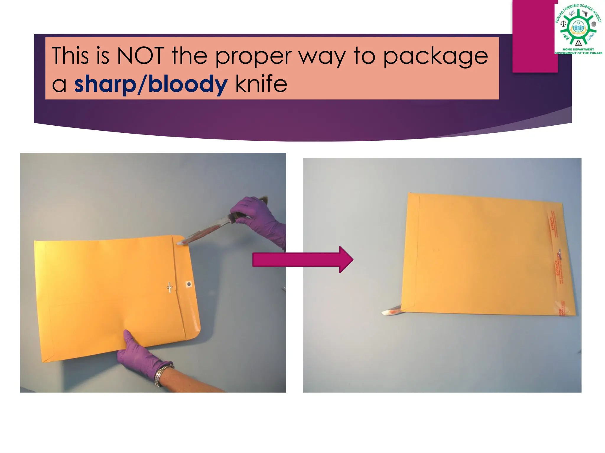 Evidence collection, packaging and collec | PPTX