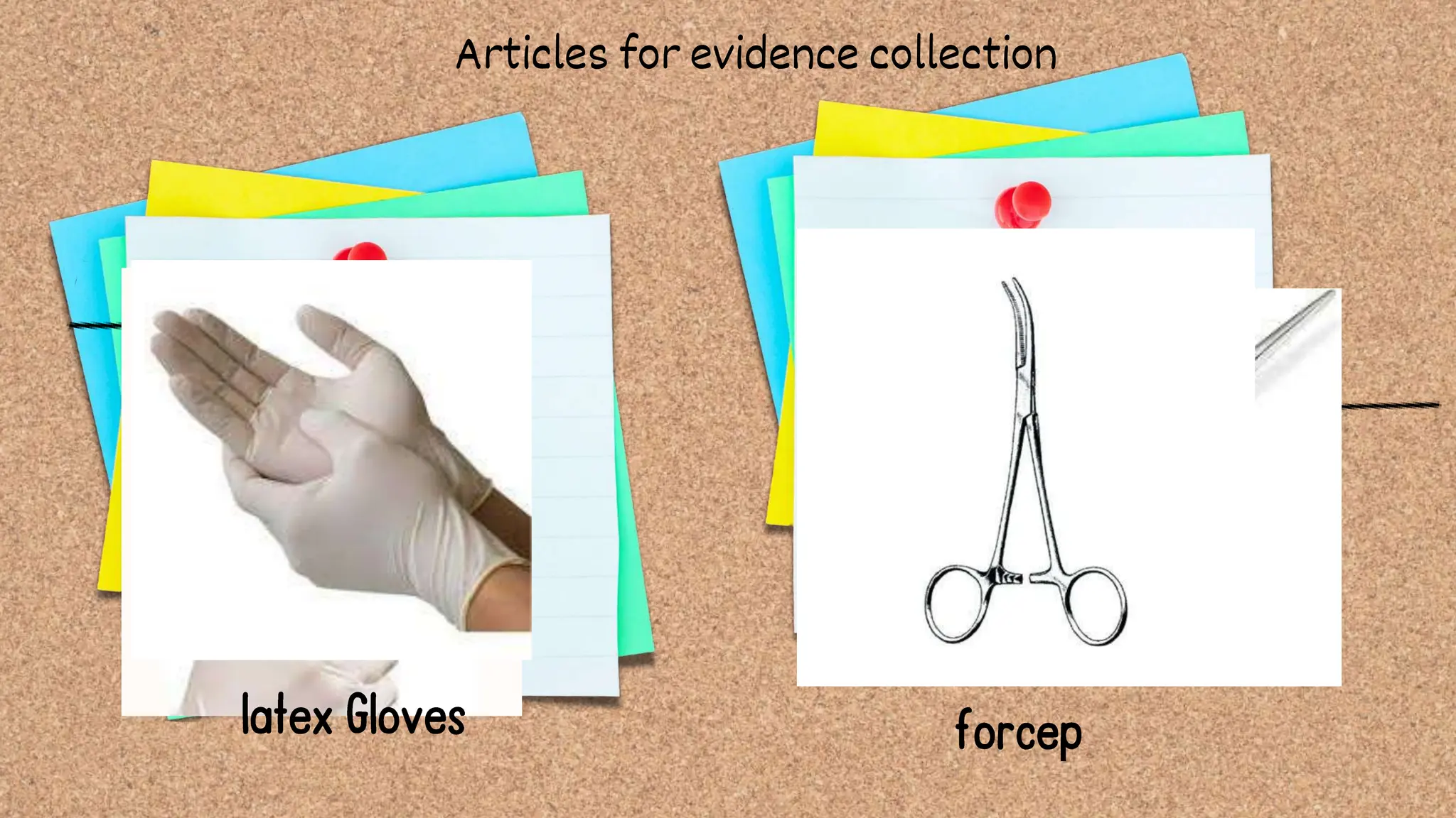 Evidence collection & Preservation .pptx