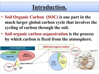Evidence for Carbon Saturation.pptx