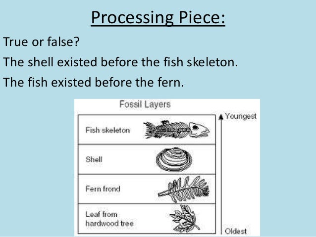 Evidence for common ancestors