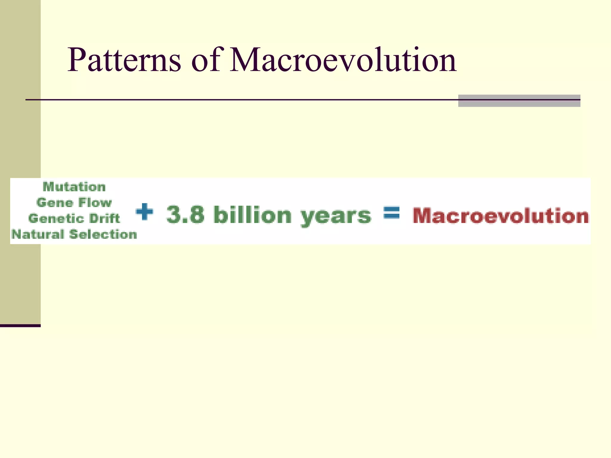 Evidence For Evolution | PPT