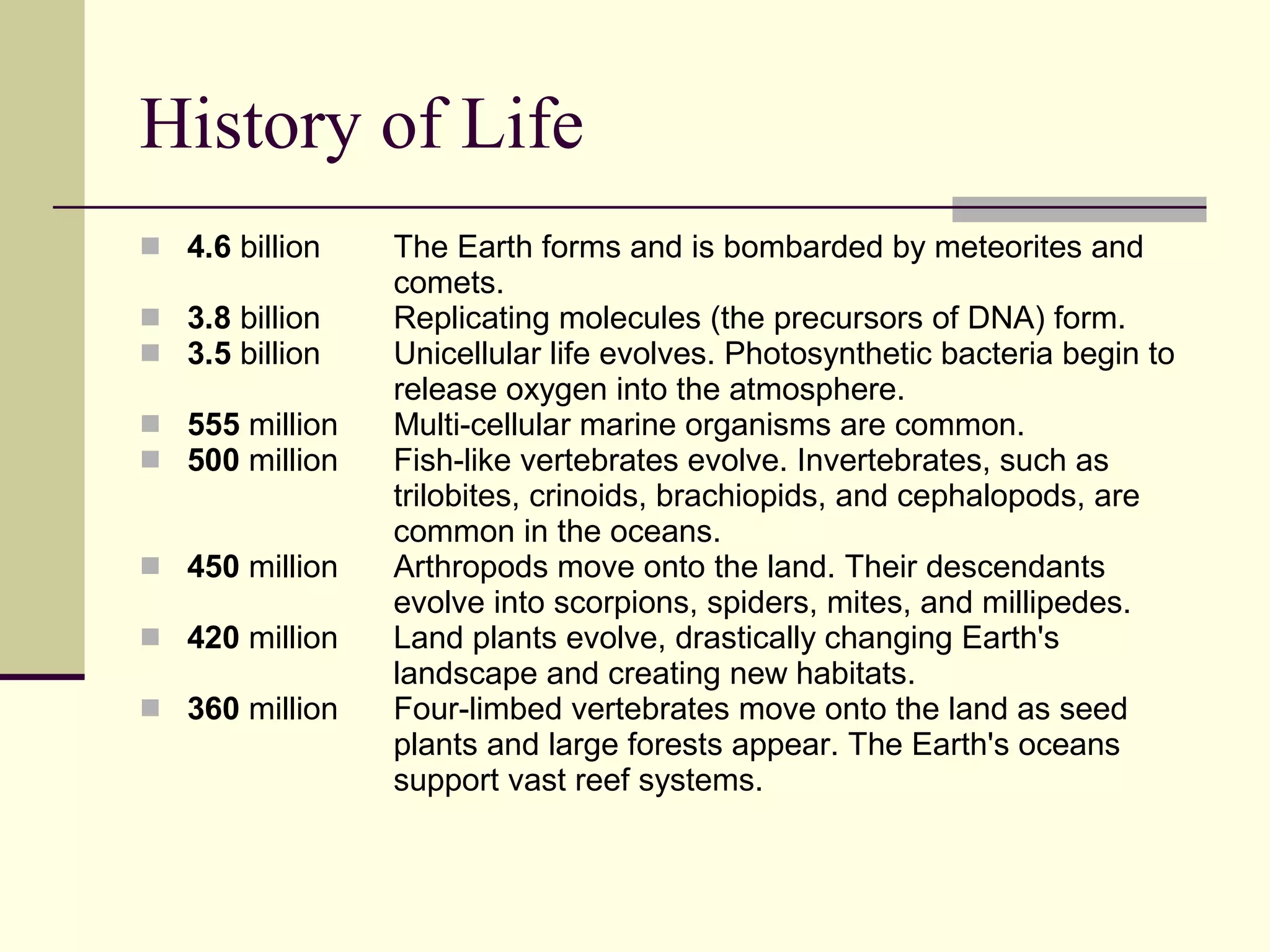 Evidence For Evolution | PPT