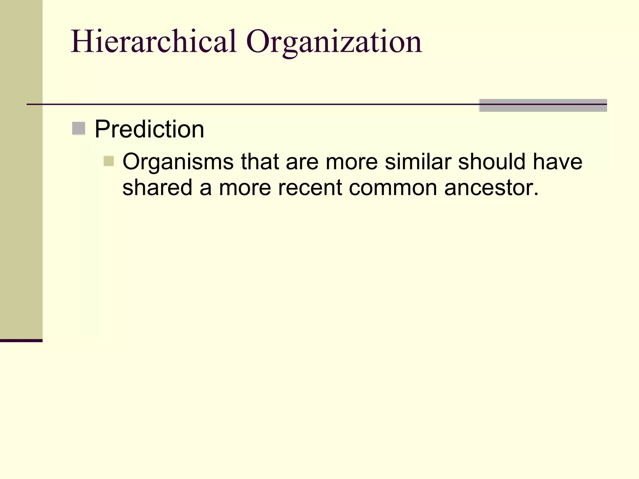 Evidence For Evolution | PPT