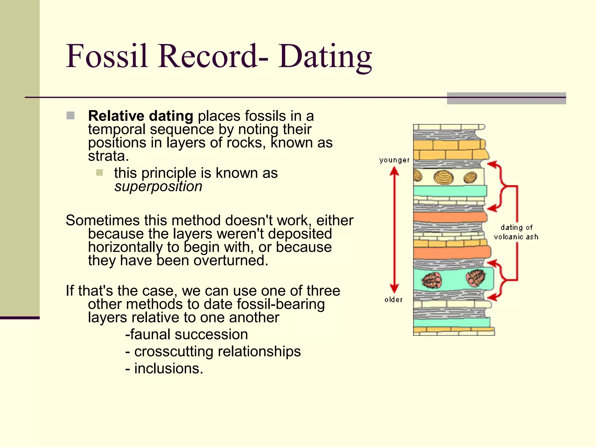 Evidence For Evolution | PPT