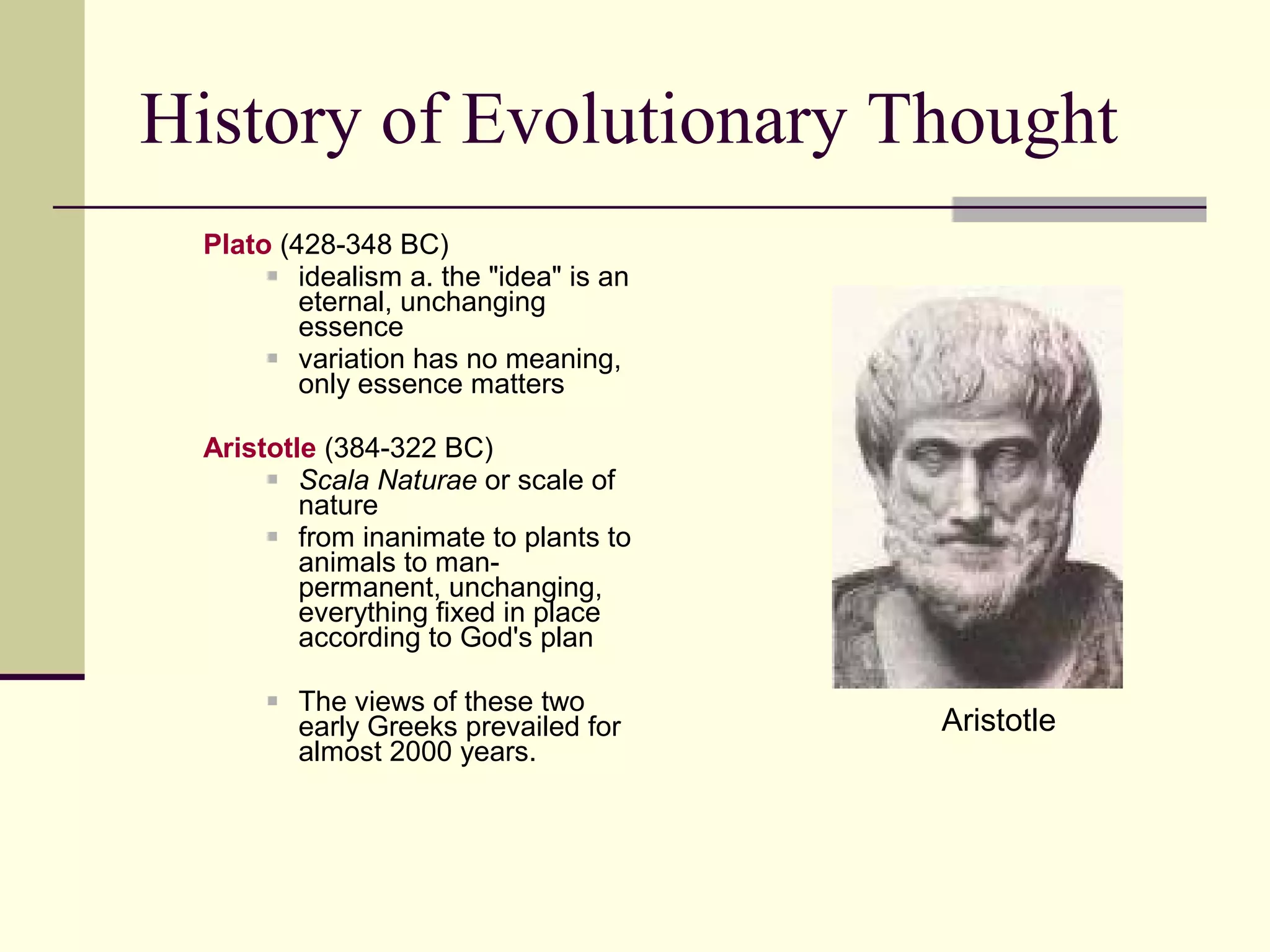 Evidence For Evolution | PPT
