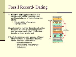 Evidence For Evolution | PPT