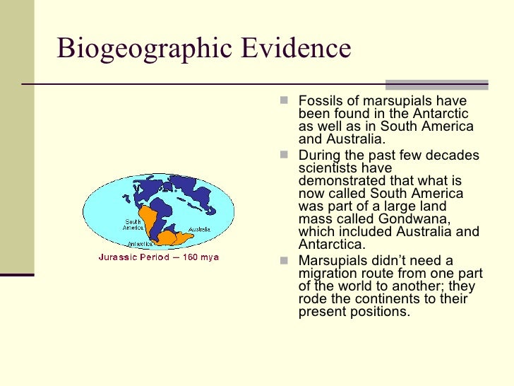 Biogeography Evolution