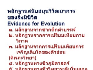 Evidence for evolution | PPT