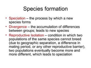 Evidence For Evolution | PPT
