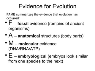 Evidence For Evolution | PPT