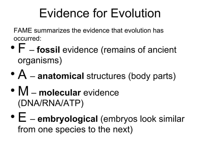 Evidence For Evolution | PPT