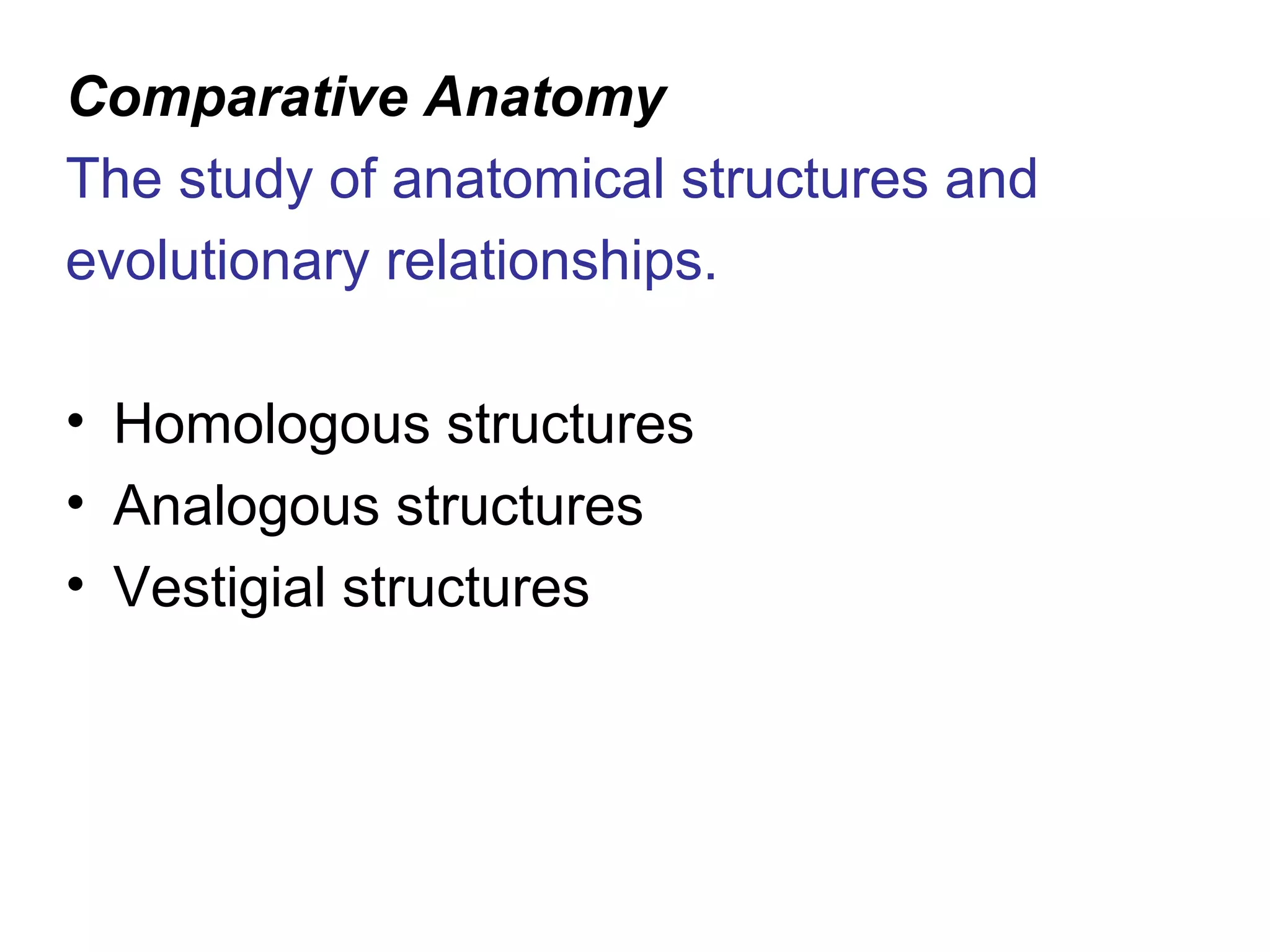 Evidence for evolution | PPT