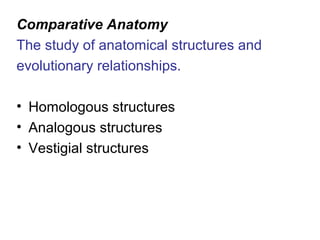 Evidence for evolution | PPT