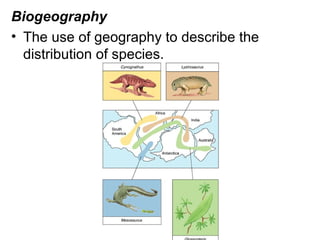 Geographic Distribution Evolution