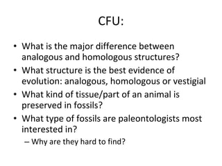 Evidence for evolution powerpoint | PPT
