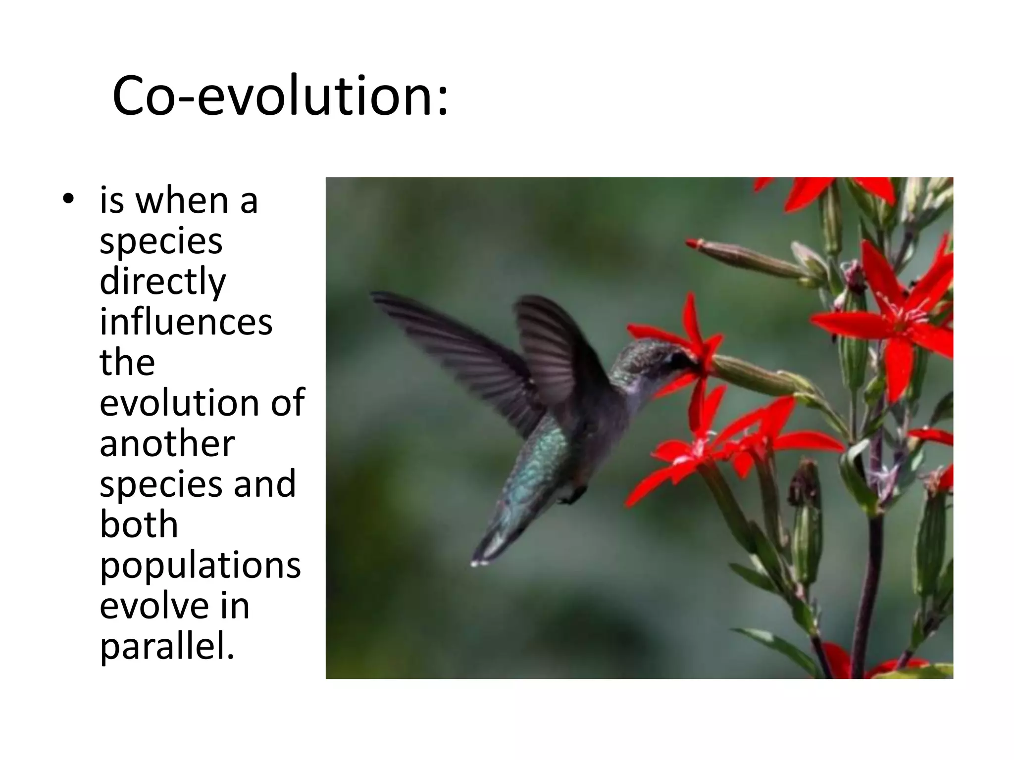 Evidence for evo review | PPT