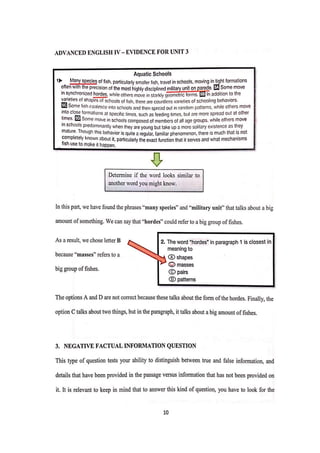 Advanced English IV | PDF