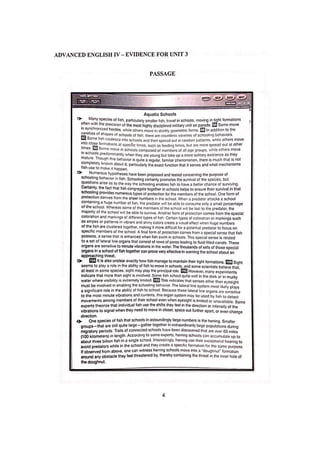 Advanced English IV | PDF