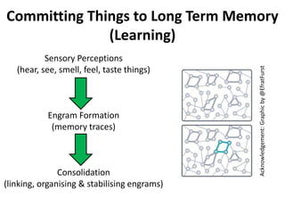 Evidence informed curriculum planning | PPTX | Primary Education | Education