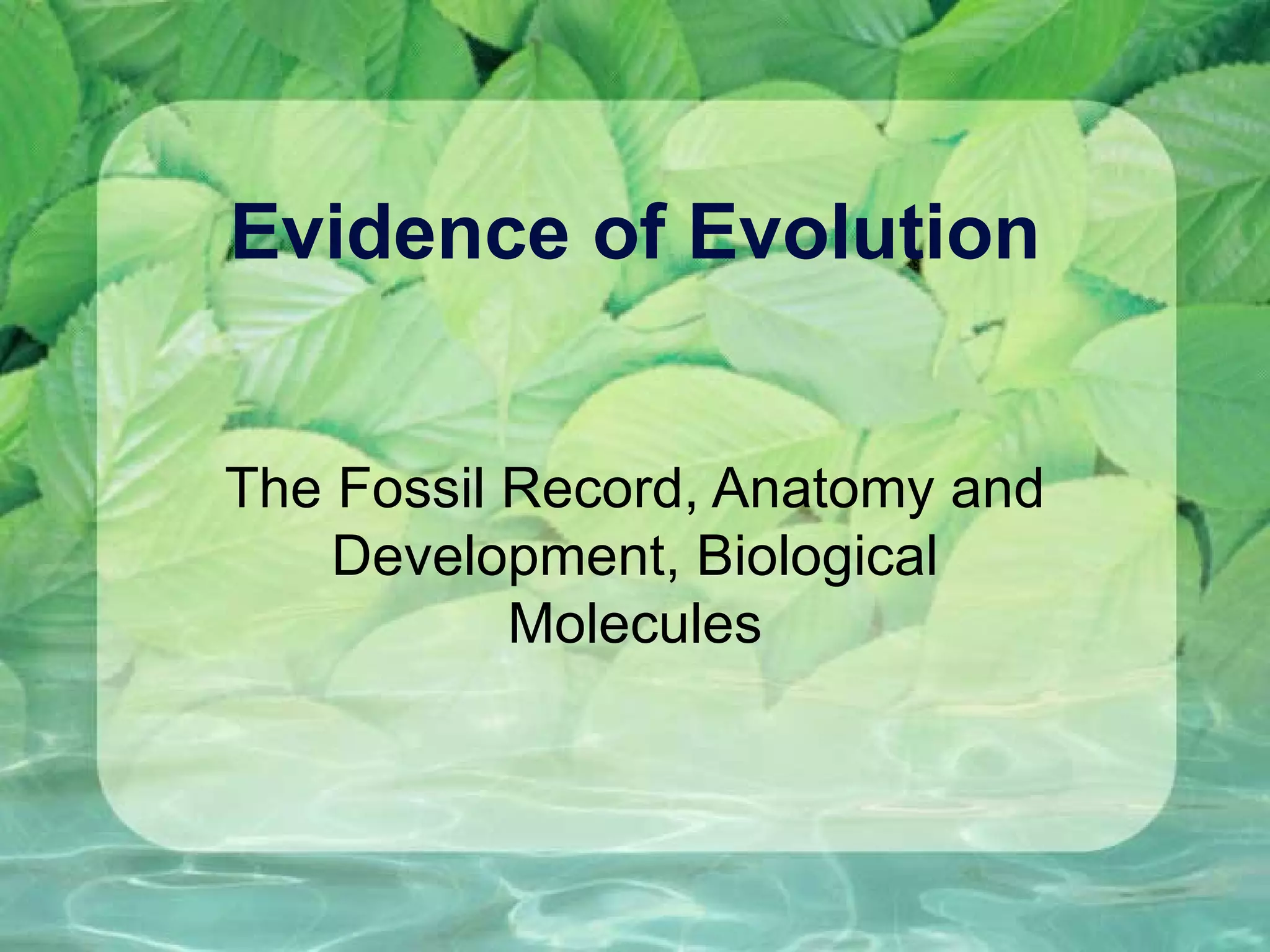 Evidence Of Evolution | PPT