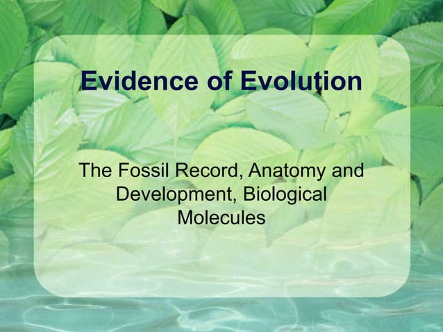 Evidence Of Evolution | PPT | Genetics | Science