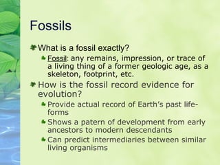 Evidence Of Evolution | PPT | Genetics | Science