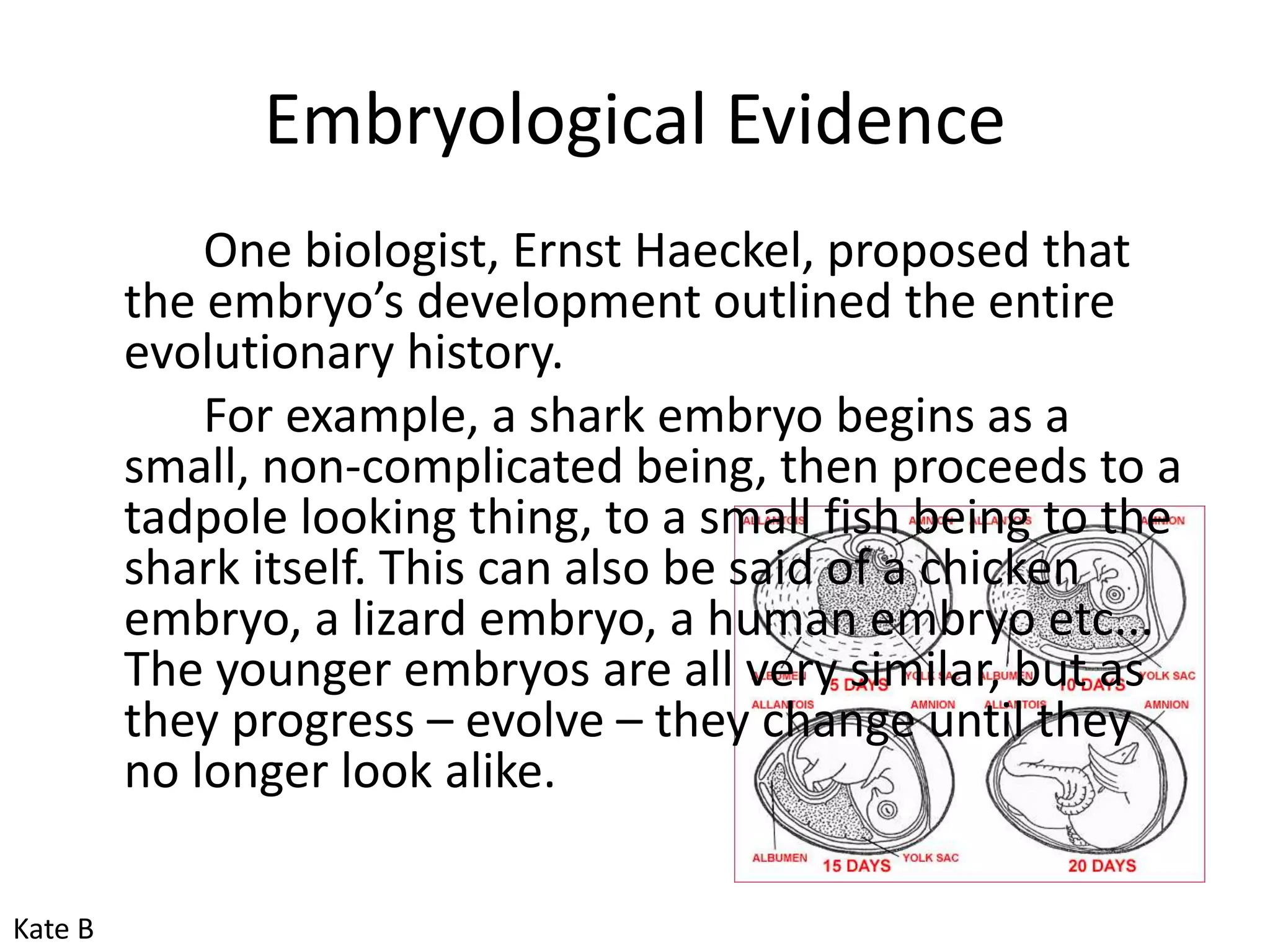 Evidence of evolution | PPTX