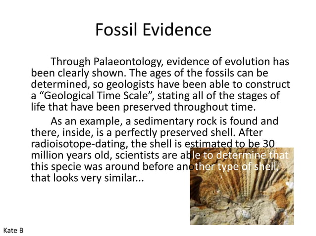 Evidence of evolution | PPTX