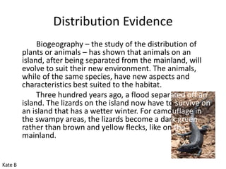 Evidence of evolution | PPTX
