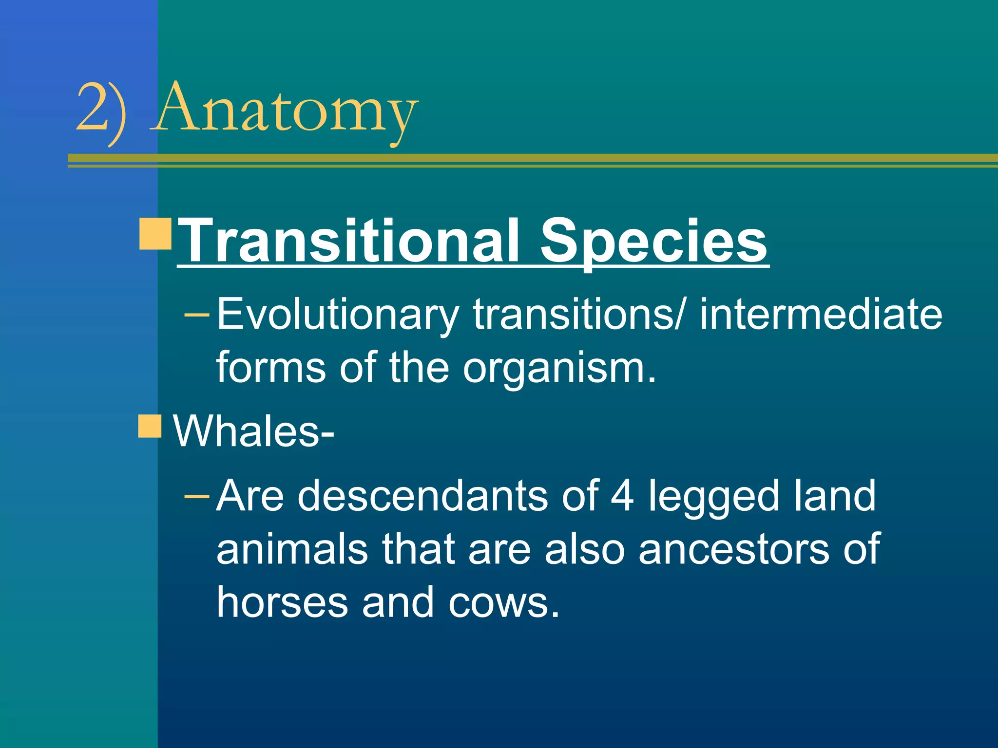 Evidence of evolution | PPT