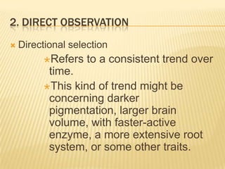 Evidence of evolution | PPTX | Biological Sciences | Science