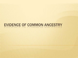 Evidence of evolution | PPTX | Biological Sciences | Science