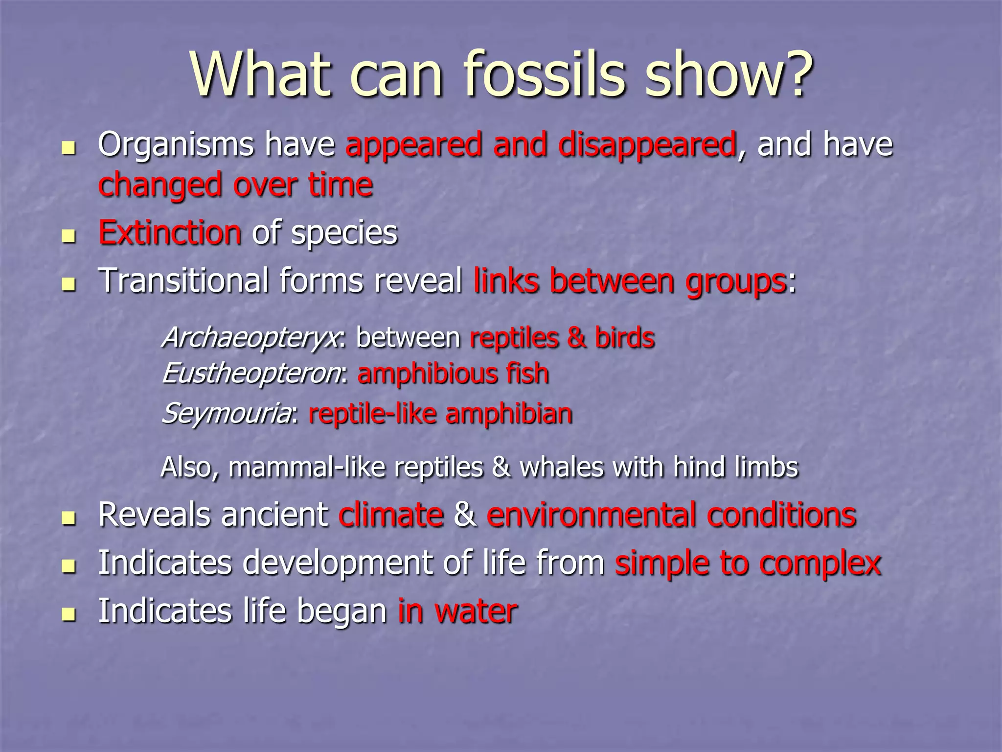 Evidence_of_Evolution.ppt