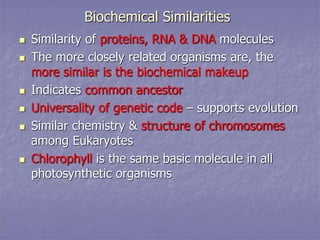 Evidence_of_Evolution.ppt