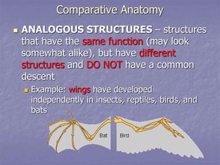 Evidence_of_Evolution.ppt
