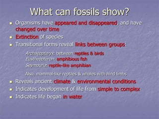 Evidence of Evolution.ppt