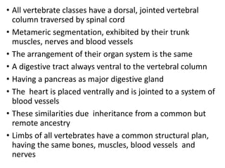 Evidence of evolution.pptx