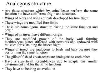Evidence of evolution.pptx
