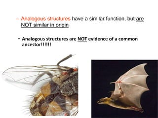Evidence of evolution.pptx
