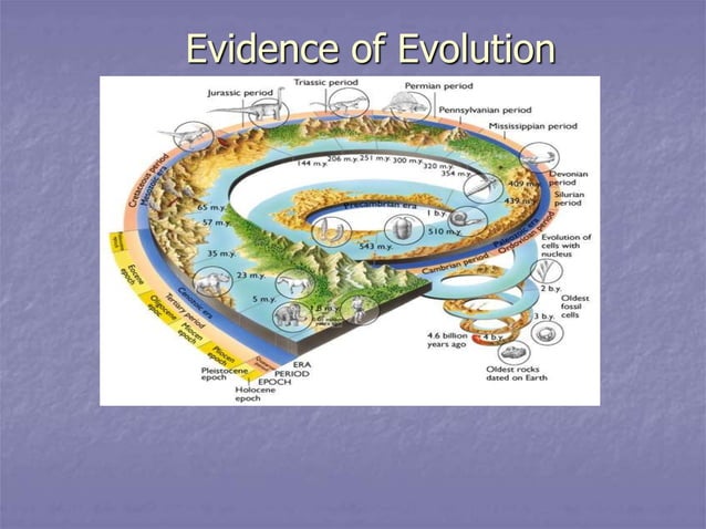 Evidence_of_Evolution-observe.ppt