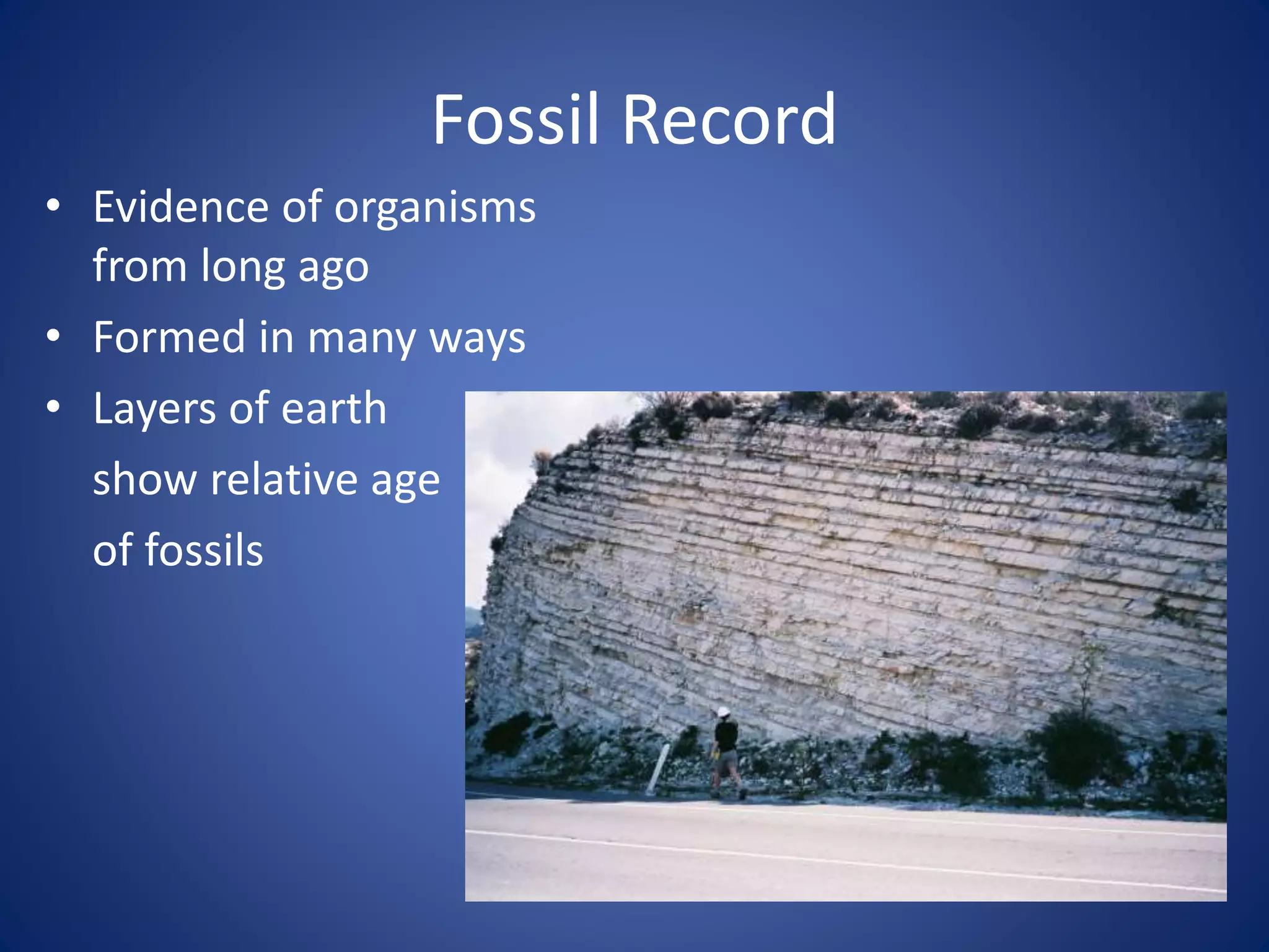 Evidence of evolution | PPTX