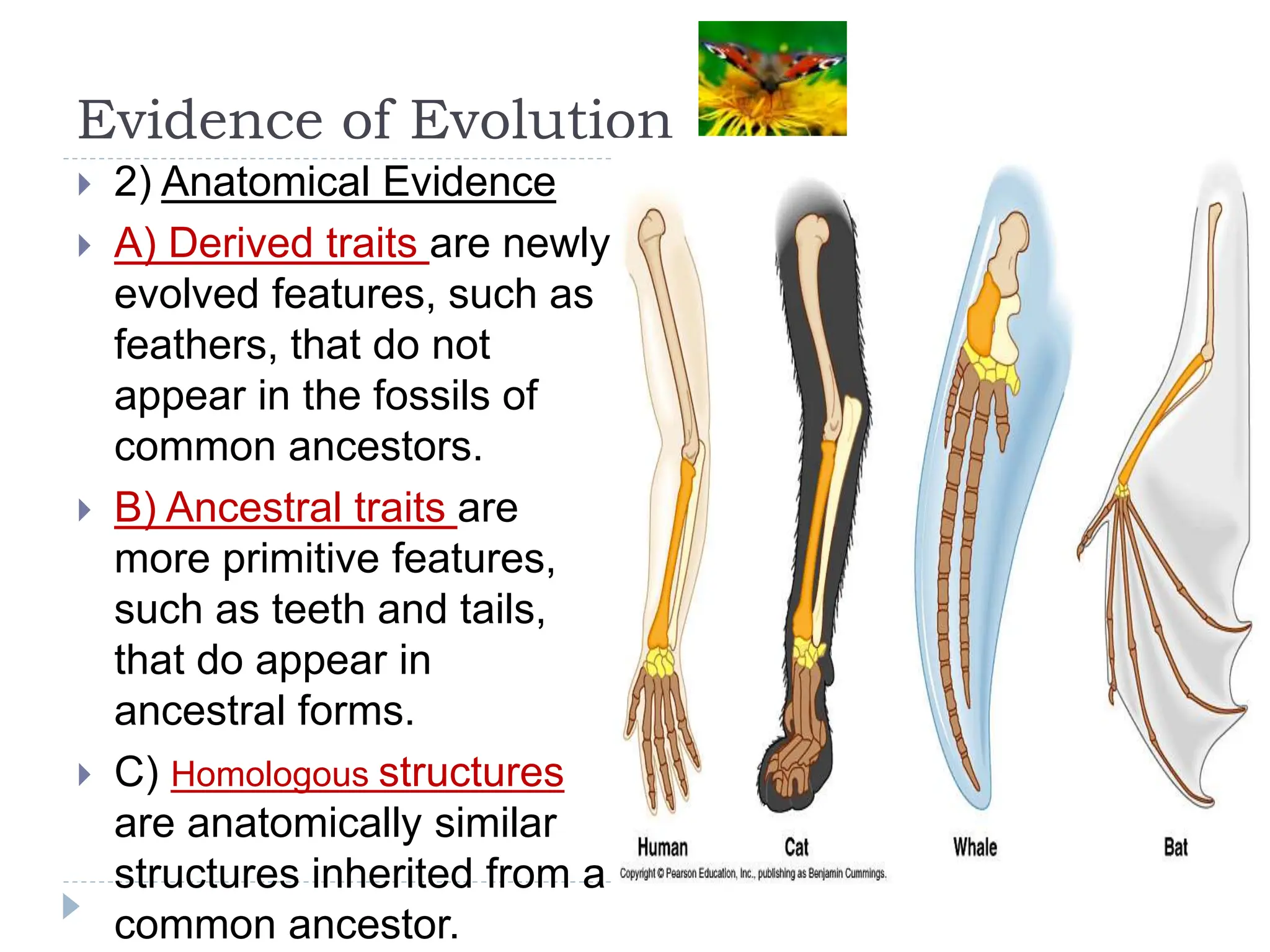 science 10 Evidence of Evolution 2nd.ppt