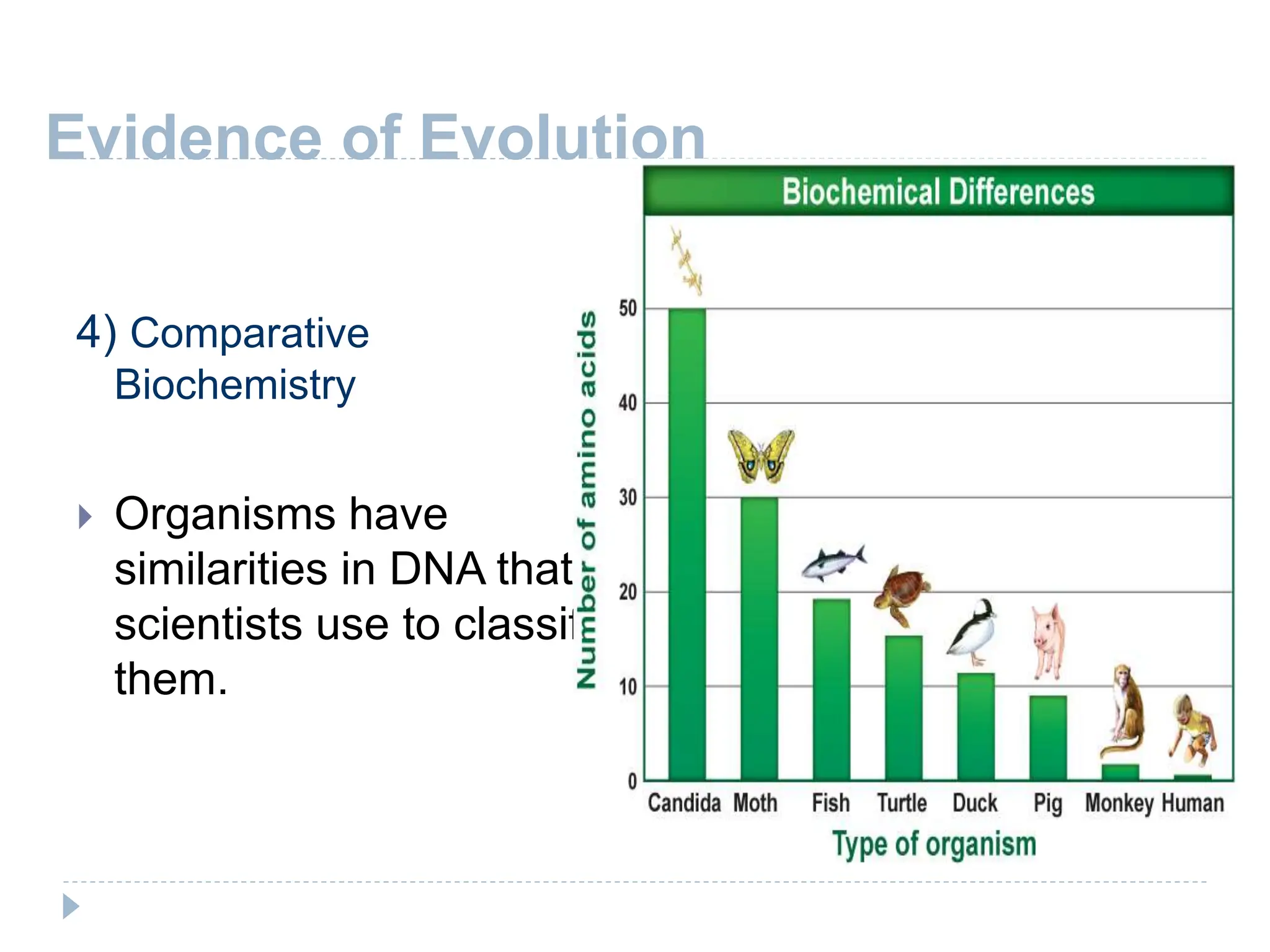 science 10 Evidence of Evolution 2nd.ppt