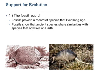 science 10 Evidence of Evolution 2nd.ppt