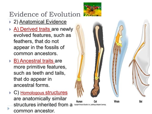 science 10 Evidence of Evolution 2nd.ppt