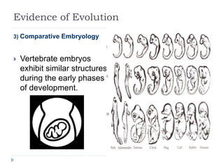 science 10 Evidence of Evolution 2nd.ppt