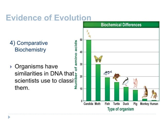 science 10 Evidence of Evolution 2nd.ppt