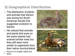 science 10 Evidence of Evolution 2nd.ppt