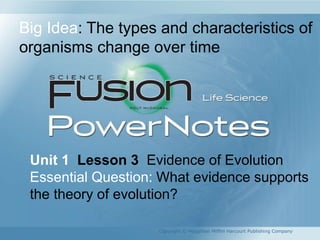Evidence of Evolution (3).ppt